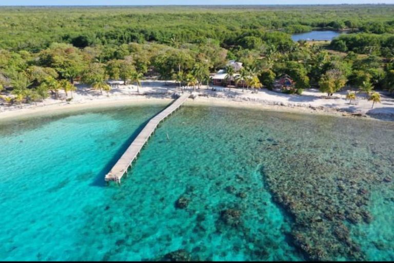 Las playas que puedes visitar en la Isla Útila, Honduras