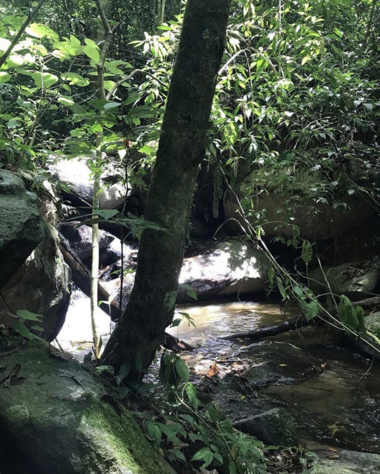 Reserva Biológica Misoco, Francisco Morazán