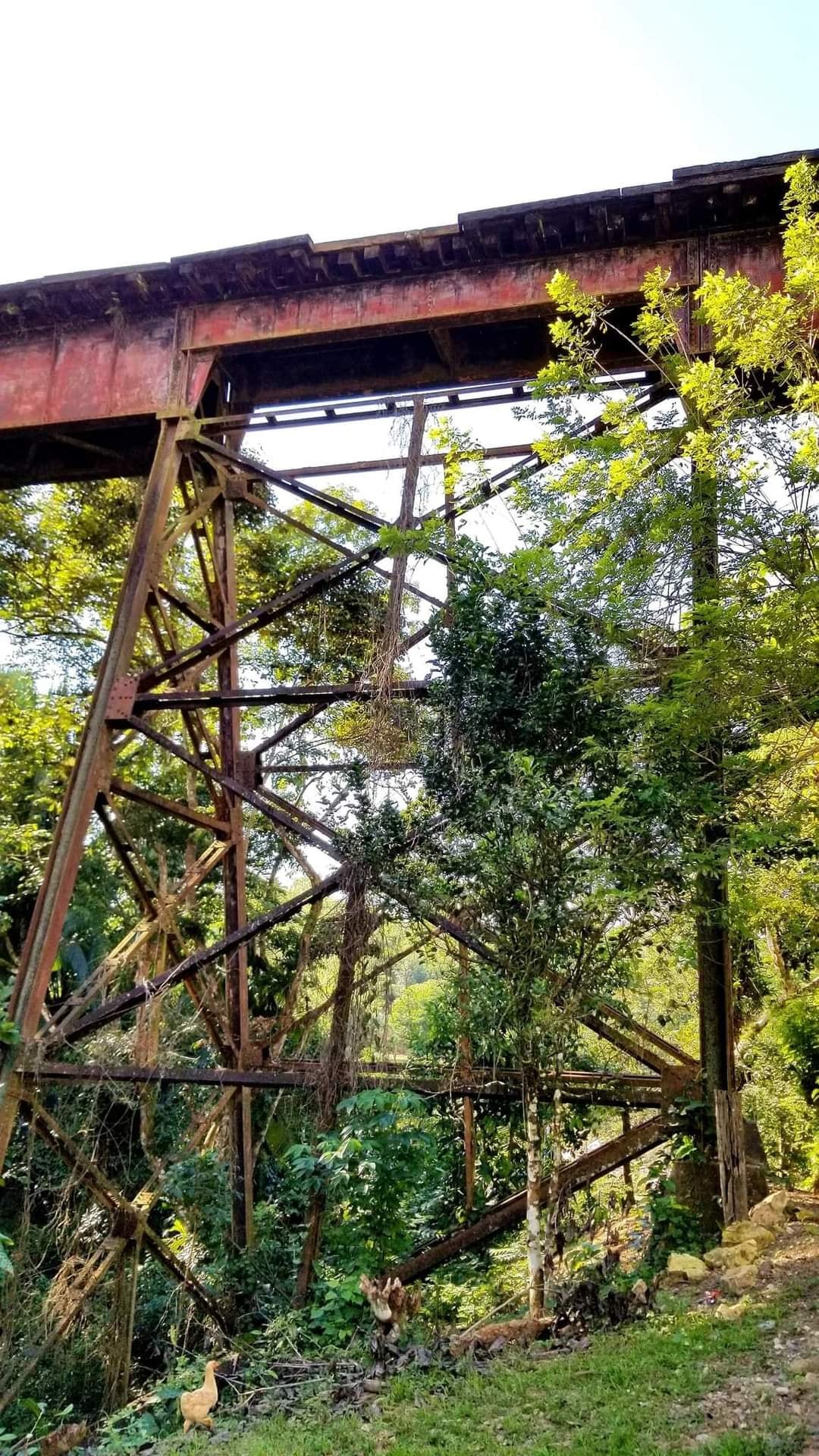 El curioso puente de Jutiapa, Atlántida
