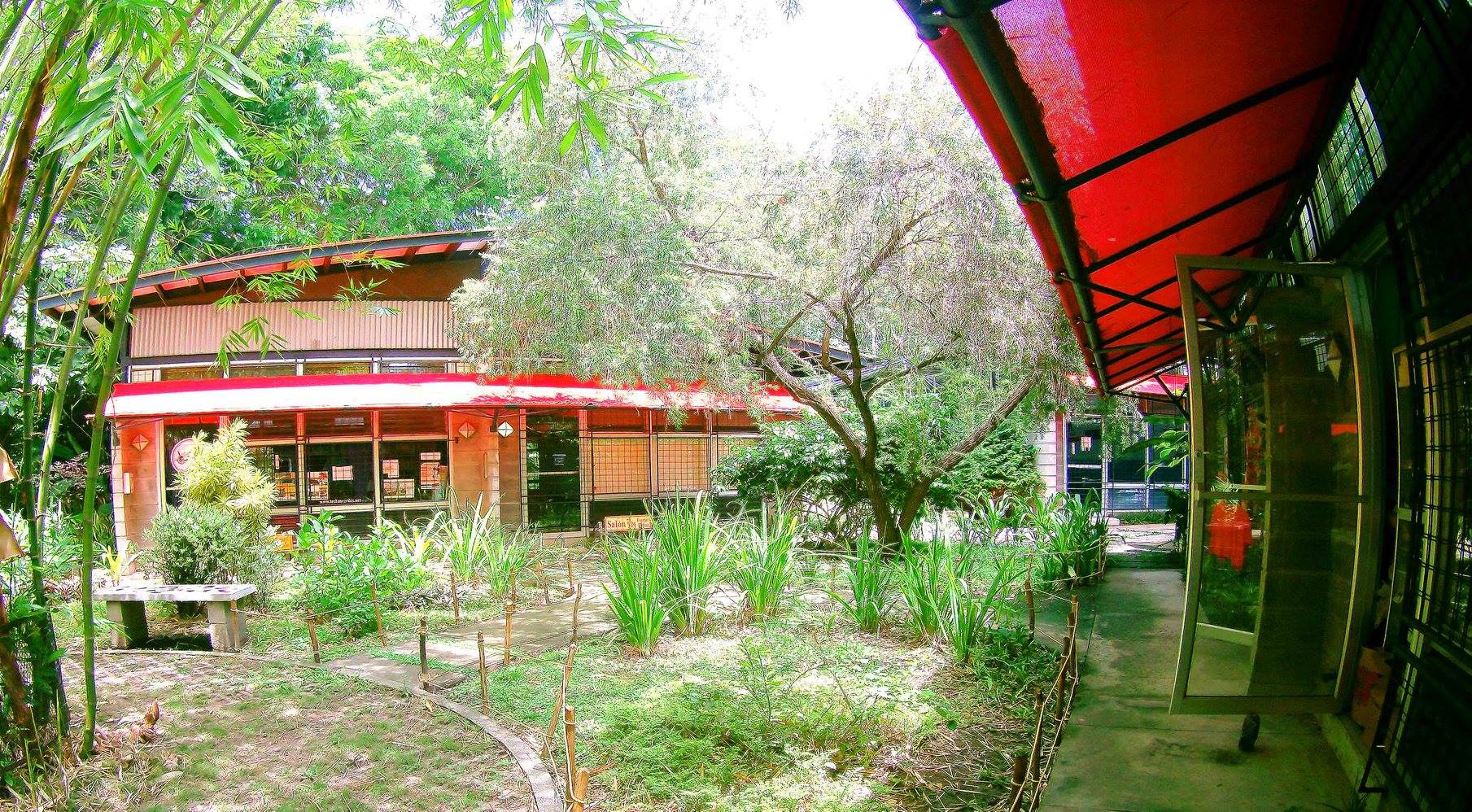 Techos verdes, un lugar para encontrar la tranquilidad