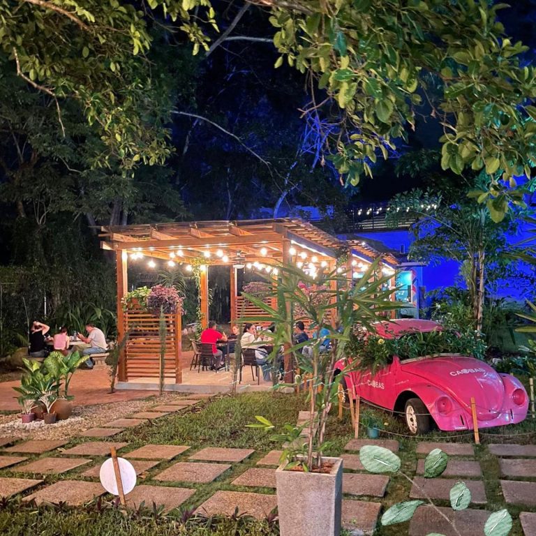 Caobas Vivero & Café, una conexión con la naturaleza en San Pedro Sula