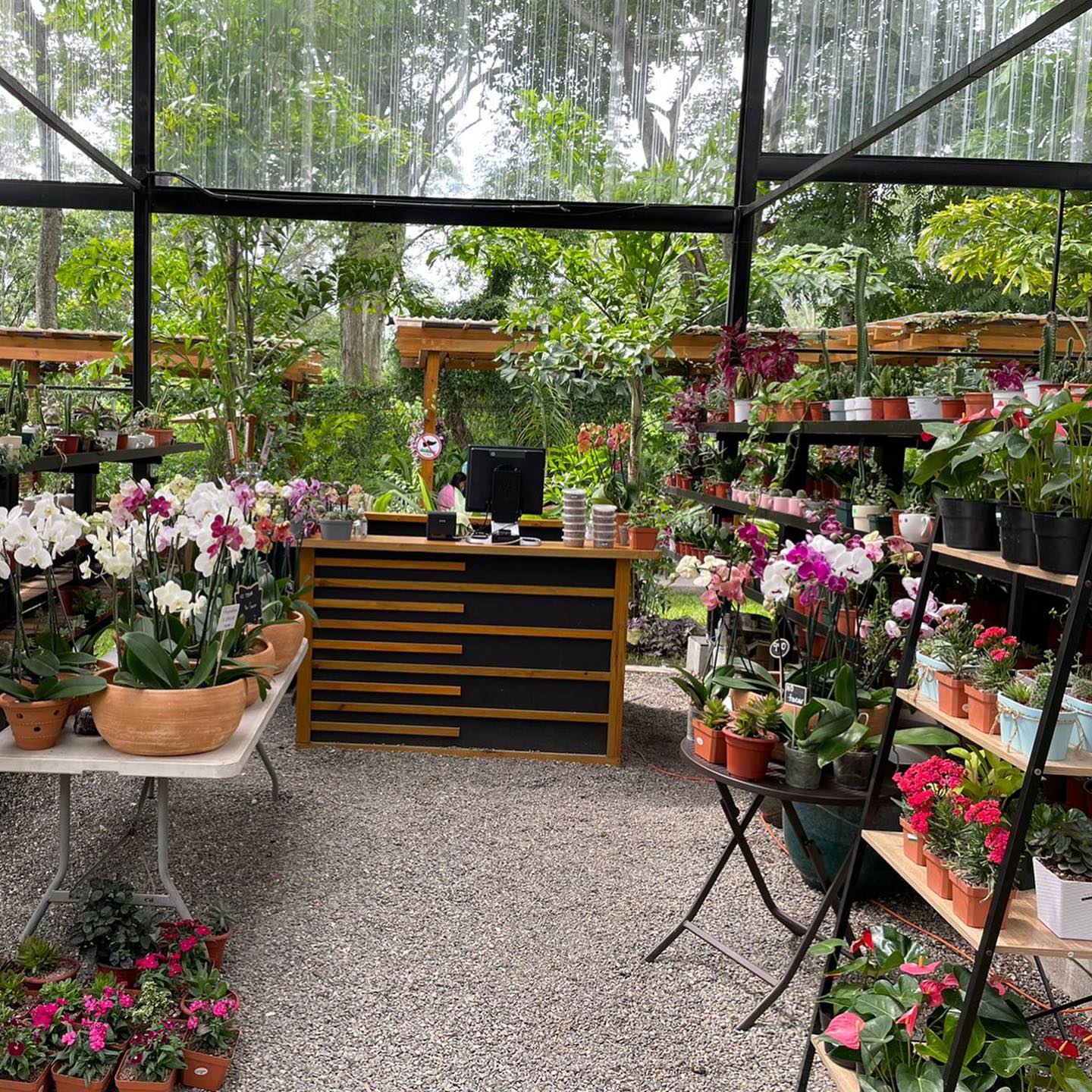 Caobas Vivero & Café, una conexión con la naturaleza en San Pedro Sula