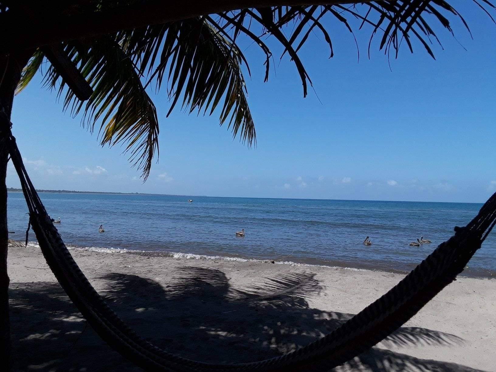 Comunidad de Masca, un rinconcito para disfrutar de la playa y conocer ...