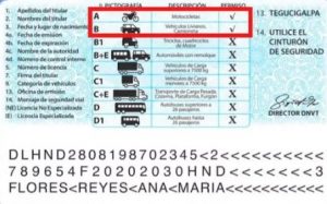Datos importantes sobre la nueva licencia de conducir en Honduras
