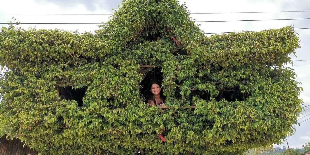 Casa de árbol en el municipio de Jocón, Yoro