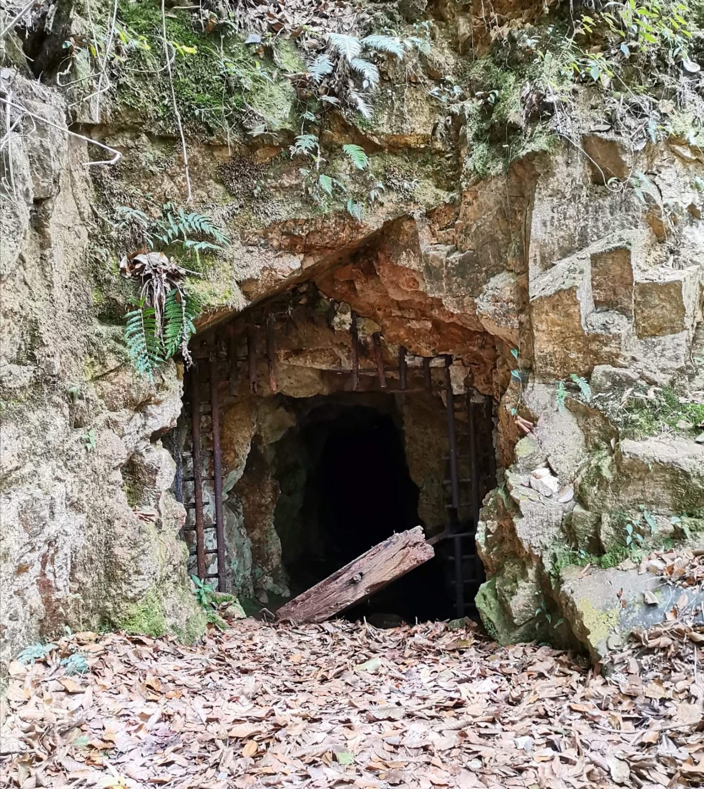 Bocaminas, una representación del Escudo Nacional de Honduras