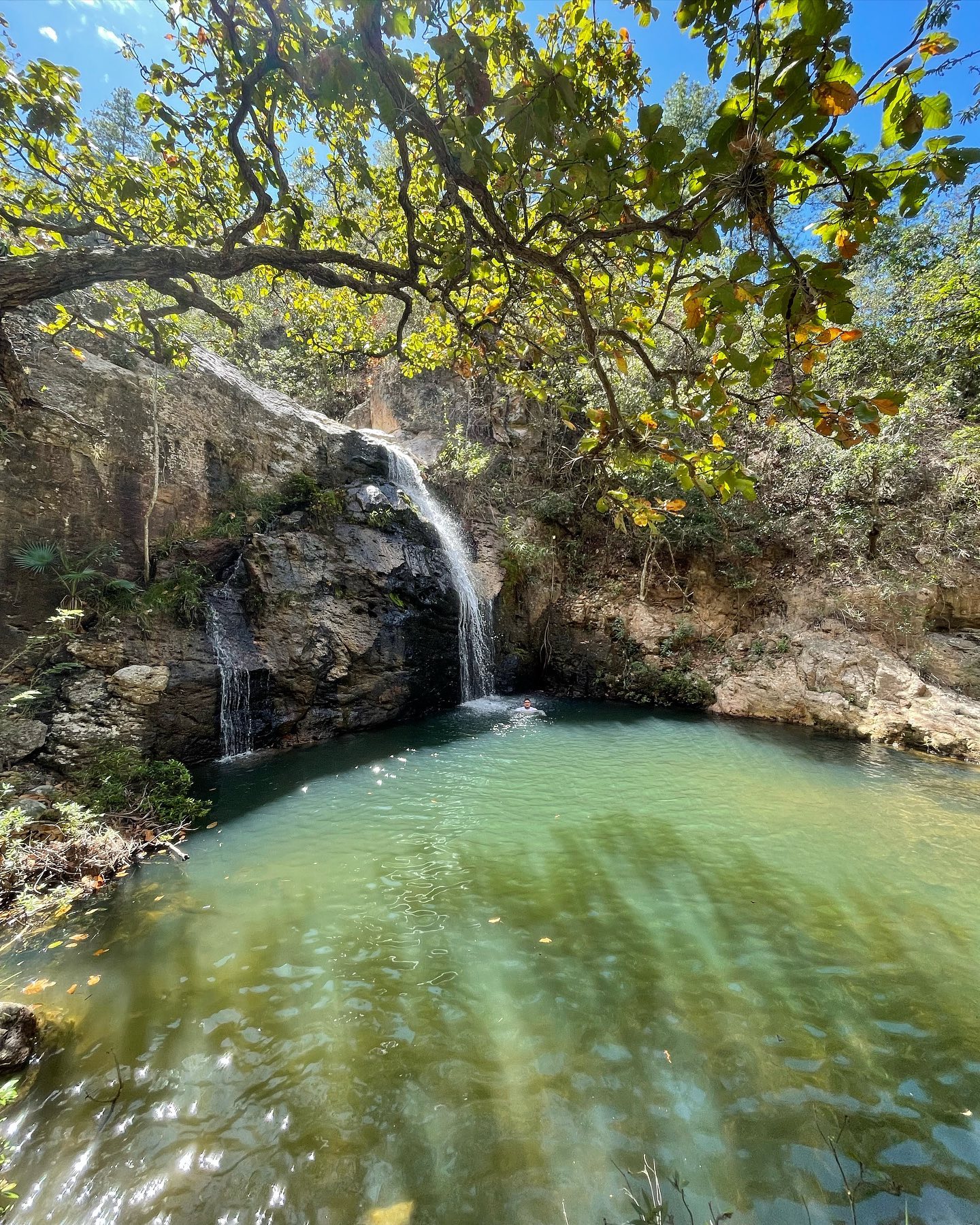 Poza Las Arenosa, una aventura por el municipio de Cofradía