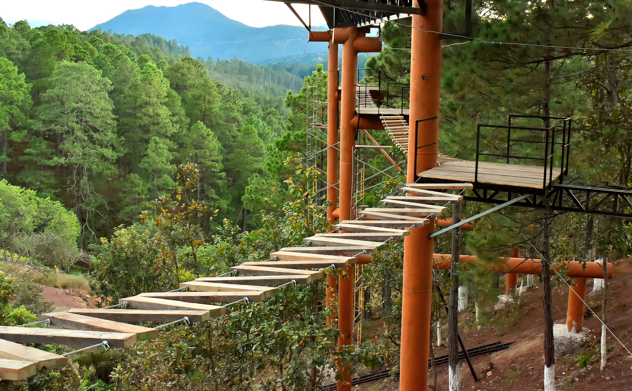 Arborismo, una nueva actividad que puedes hacer en Santa Lucía