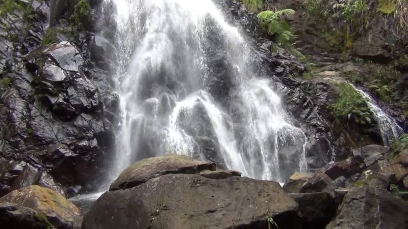 El Tucán, un destino que debes de explorar en el Parque Nacional El Cusuco