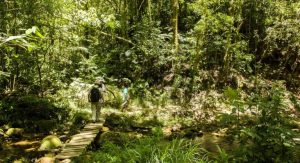 El Tucán, un destino que debes de explorar en el Parque Nacional El Cusuco