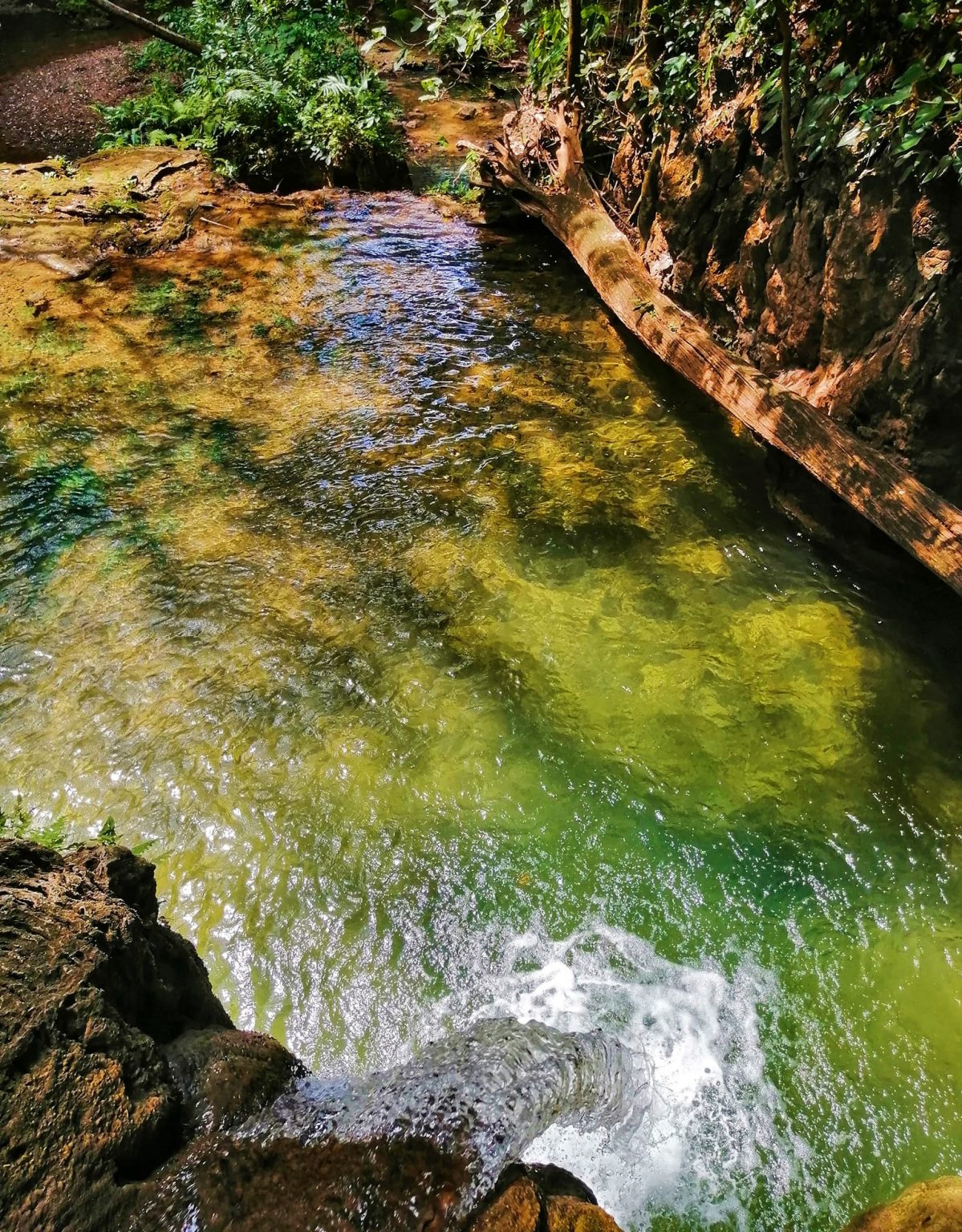 Poza Verde, una joya por explorar en Gualala