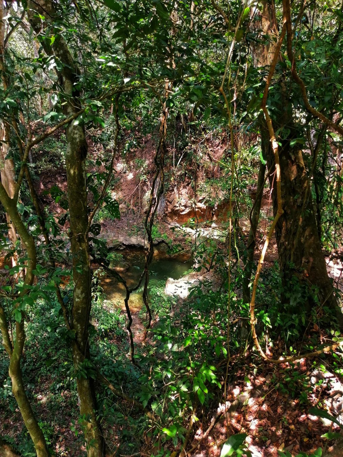 Poza Verde, una joya por explorar en Gualala
