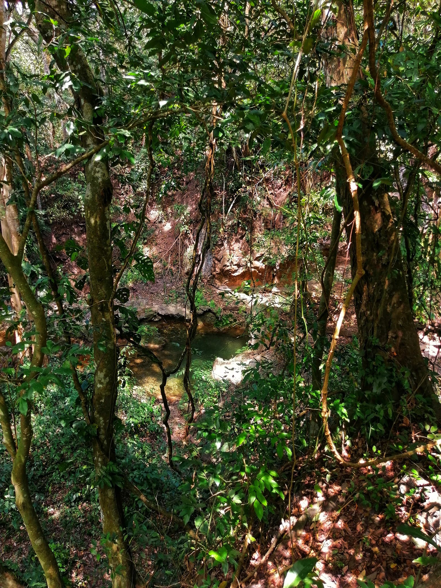 Poza Verde, una joya por explorar en Gualala