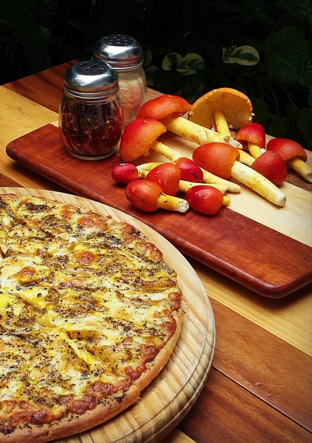 Comidas de Choro, el hongo famoso hongo de Intibucá