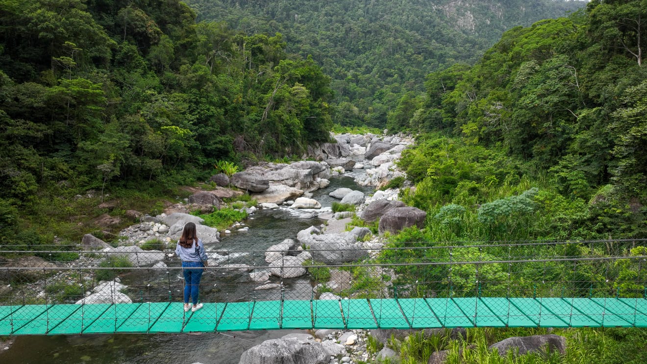 Recorre Pico Bonito y el Río Cangrejal desde el renovado puente colgante