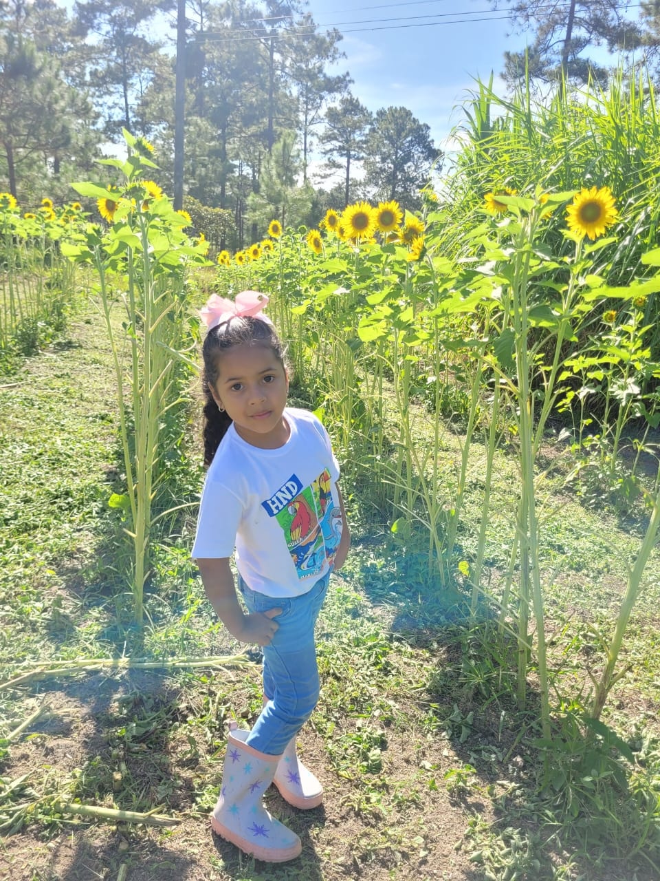Aprisco Monte Horeb y su Ruta de Queso en Danlí