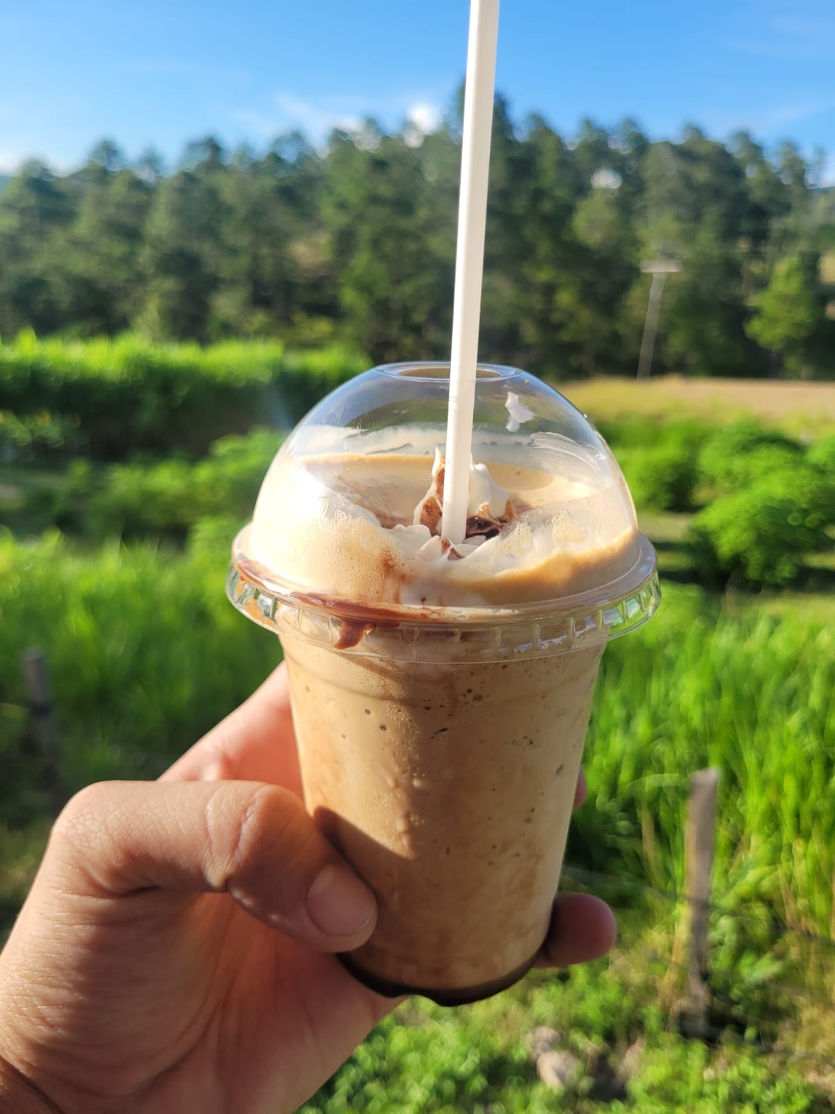 Aprisco Monte Horeb y su Ruta de Queso en Danlí