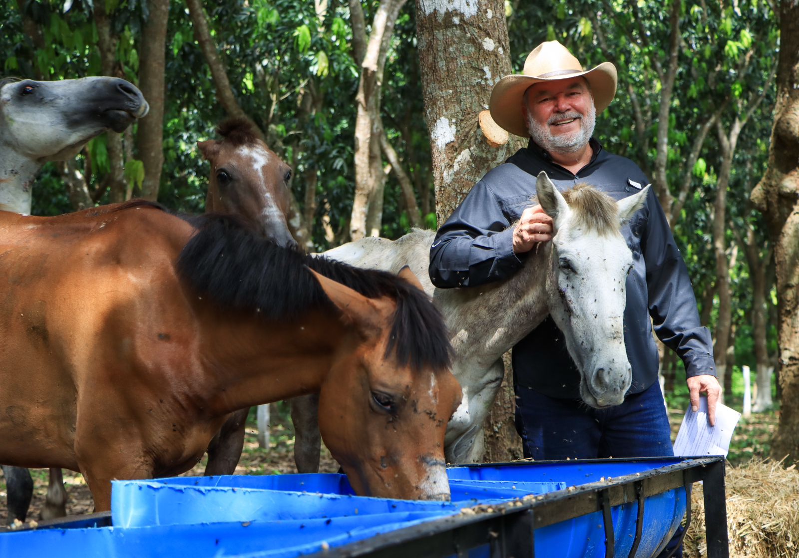 Inauguran primer Centro de Rescate Animal en San Pedro Sula