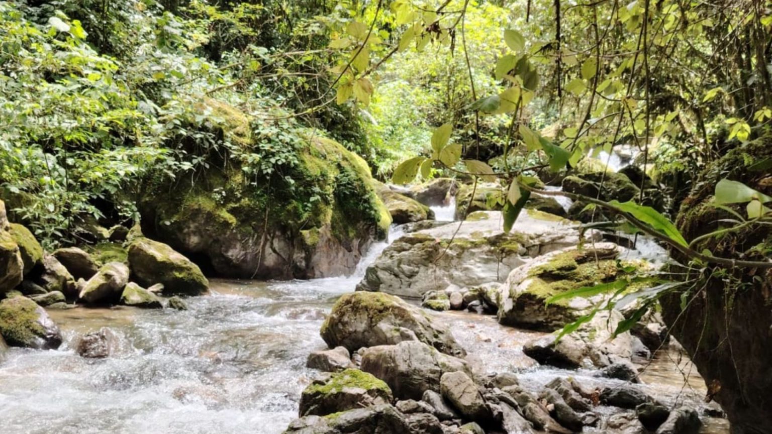 Parque Nacional Montaña de Comayagua: el destino natural de Honduras ...